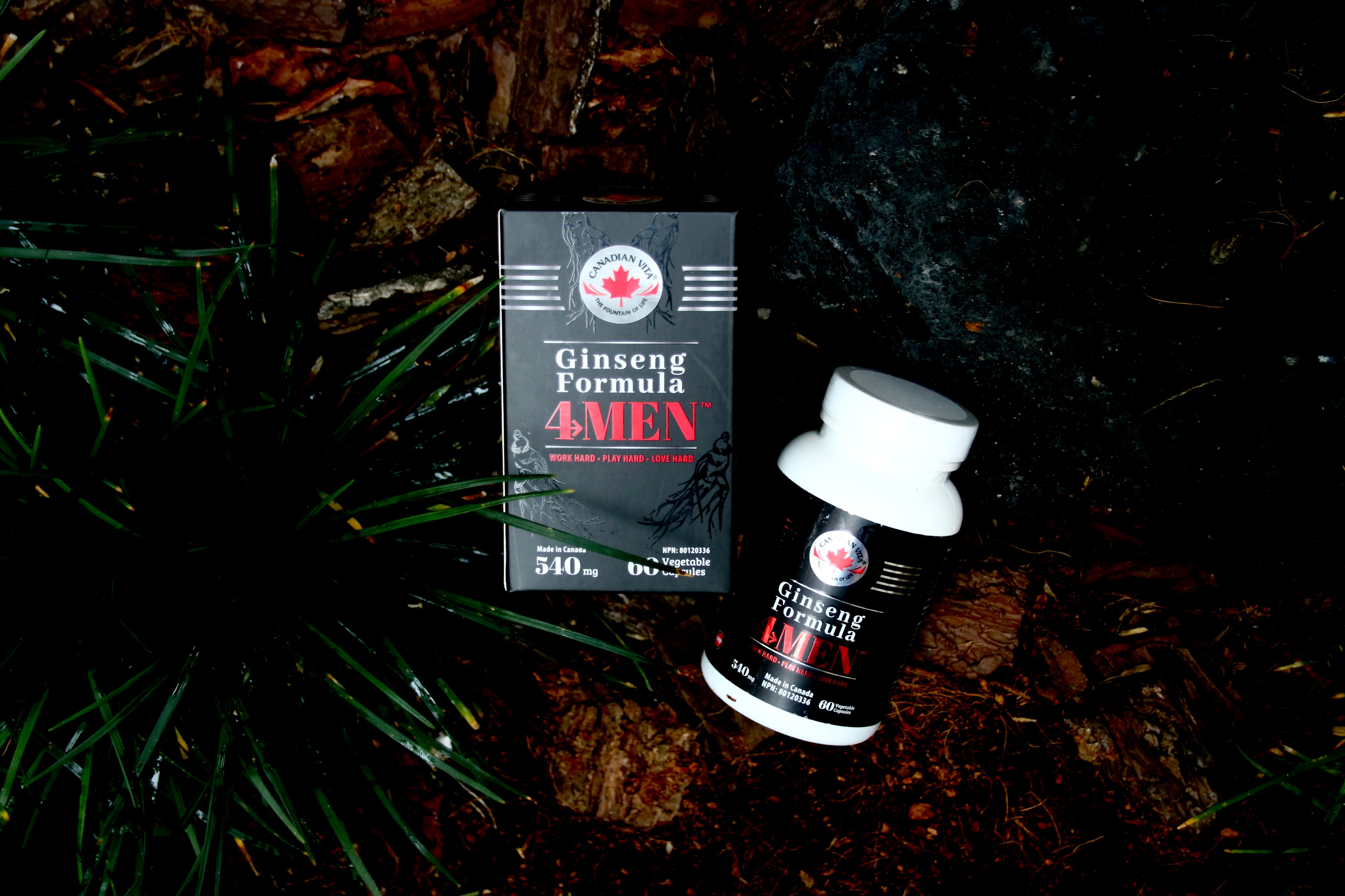 Health Benefits of Canadian Ginseng for Men – Canadian Vita Corporation